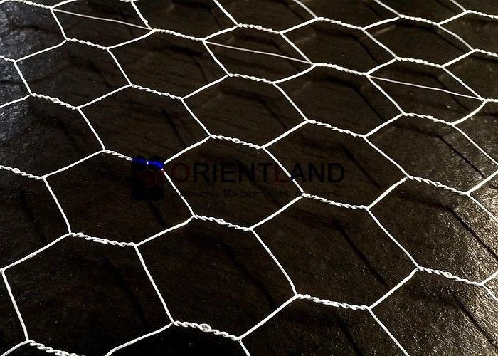 Rust / Corrosion Proof Galvanized Hexagonal Wire Mesh Netting Roll Flat ...
